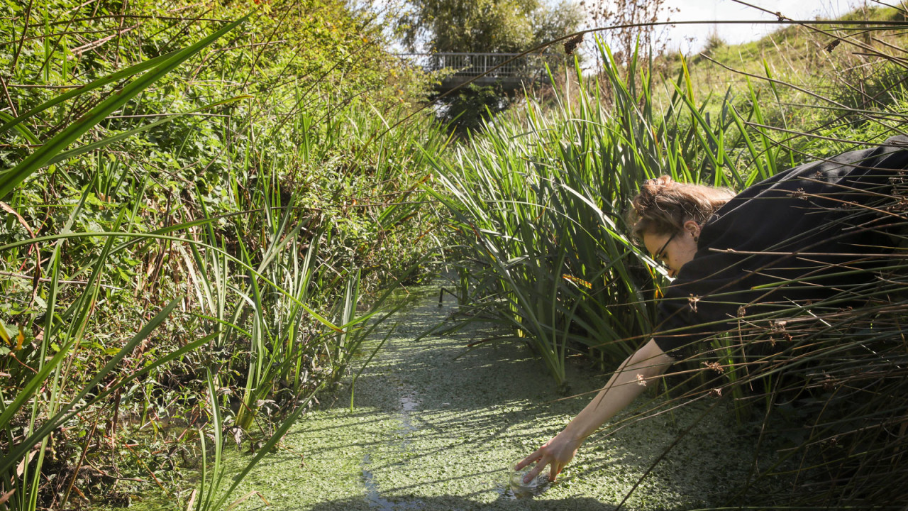 Rethinking algae for design | Royal Academy of Arts
