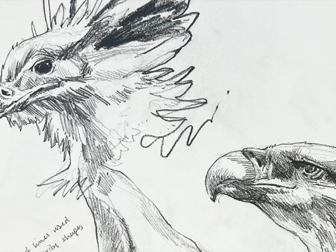 Exhibitions & Events | Royal Academy of Arts