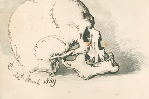 Family how-to: carve a Halloween pumpkin inspired by the RA Collection ...