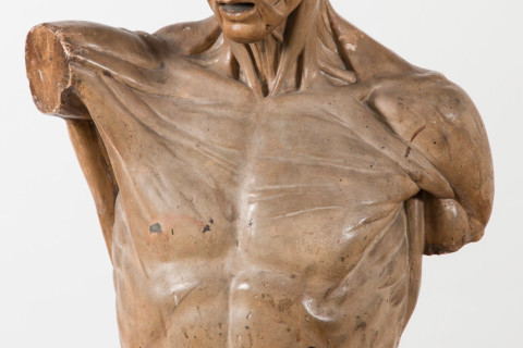 Body and space | Royal Academy of Arts