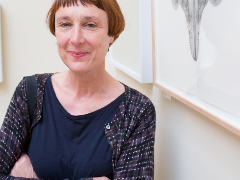 Cornelia Parker RA: Objects of Obsession | Royal Academy of Arts