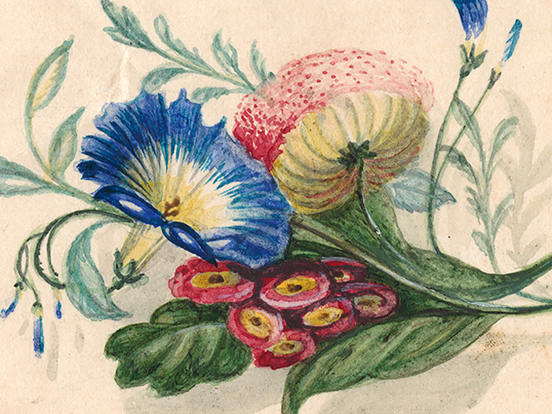 Botanical art | Royal Academy of Arts