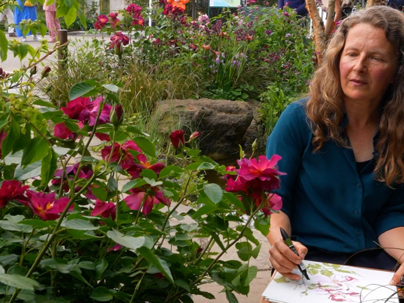 Video: drawing flowers at RHS Chelsea Flower Show | Royal Academy of Arts