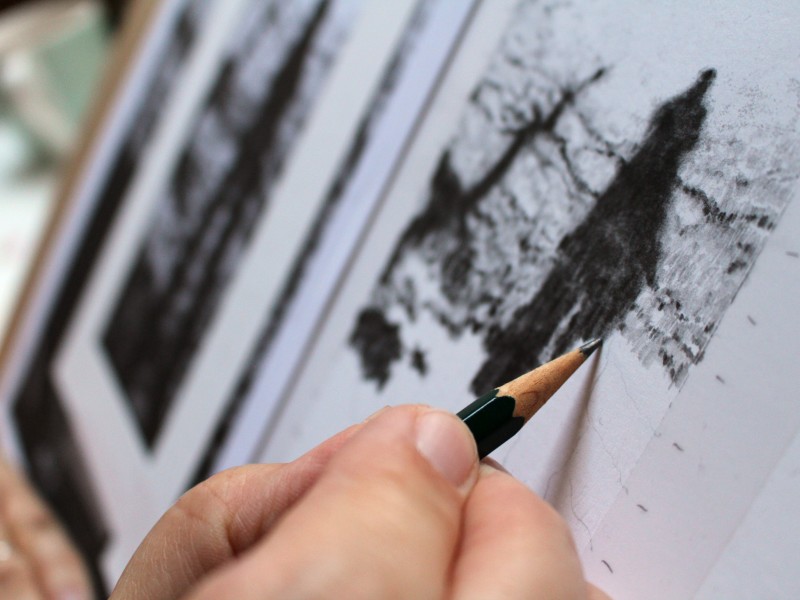 Drawing to discover: precision and representation | Royal Academy of Arts