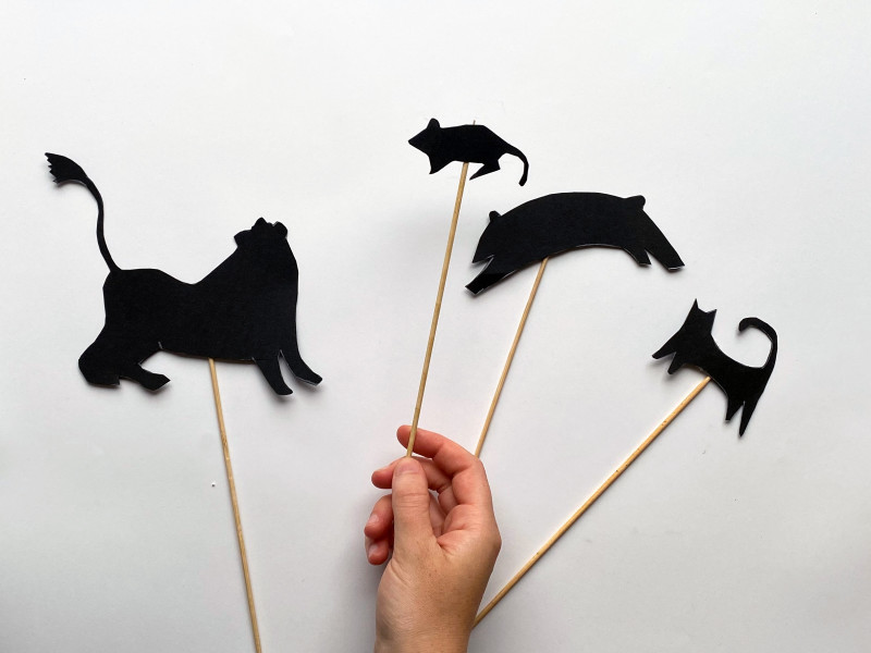 shadow puppets ideas