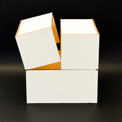 Michael Craig-Martin: living colour | Royal Academy of Arts