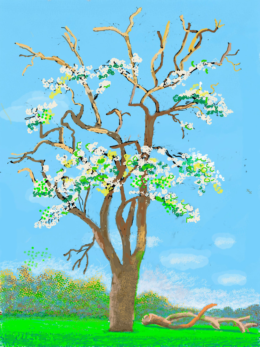 David Hockney: The Arrival of Spring, Normandy, 2020 | Royal Academy of ...