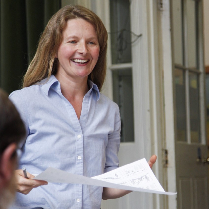 Drawing the animal form: anatomy of the horse | Royal Academy of Arts