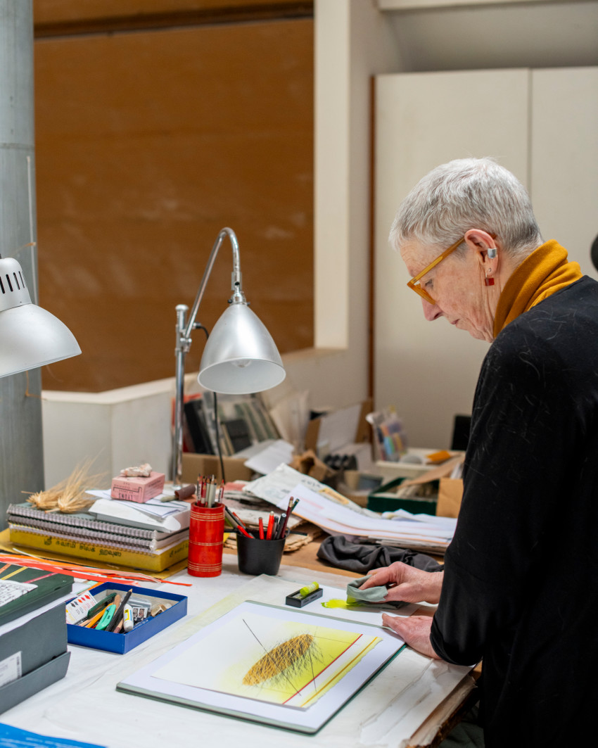 Summer Exhibition co-ordinator Ann Christopher RA on this year's show ...