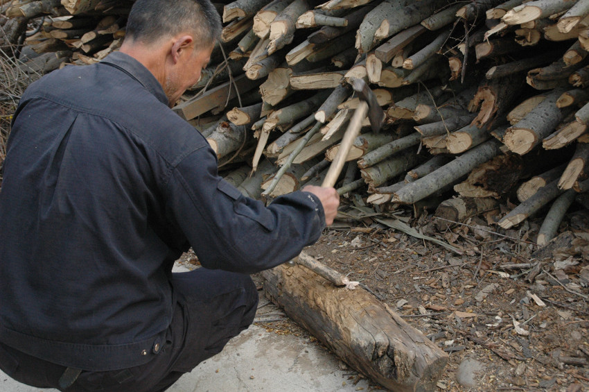 Meet the architects: Li Xiaodong | Royal Academy of Arts